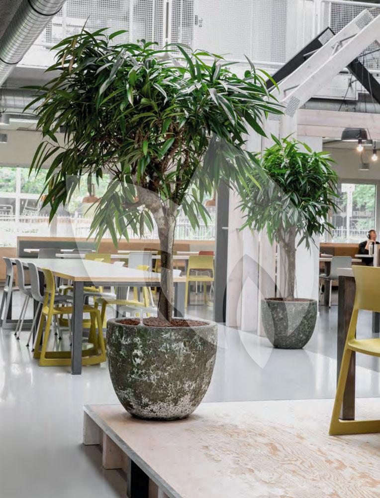 Baq Design Lava Relic Jade ovale bloempot binnen 38x24x19 cm ...