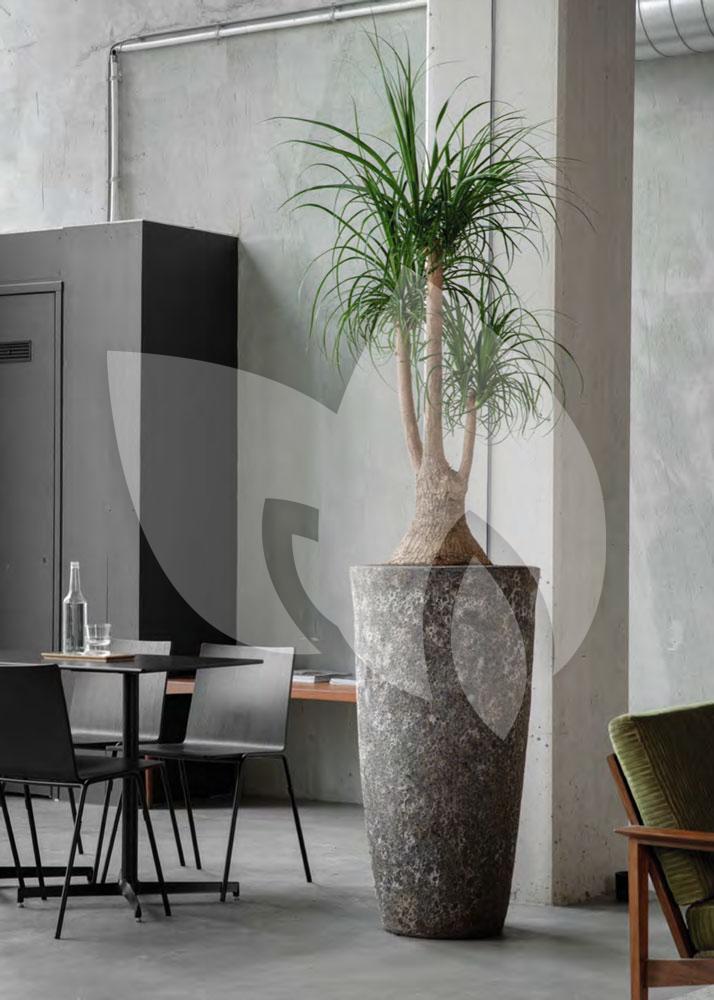 Baq Design Lava Relic Rust metal Cube bloempot binnen 20x20x20 cm ...