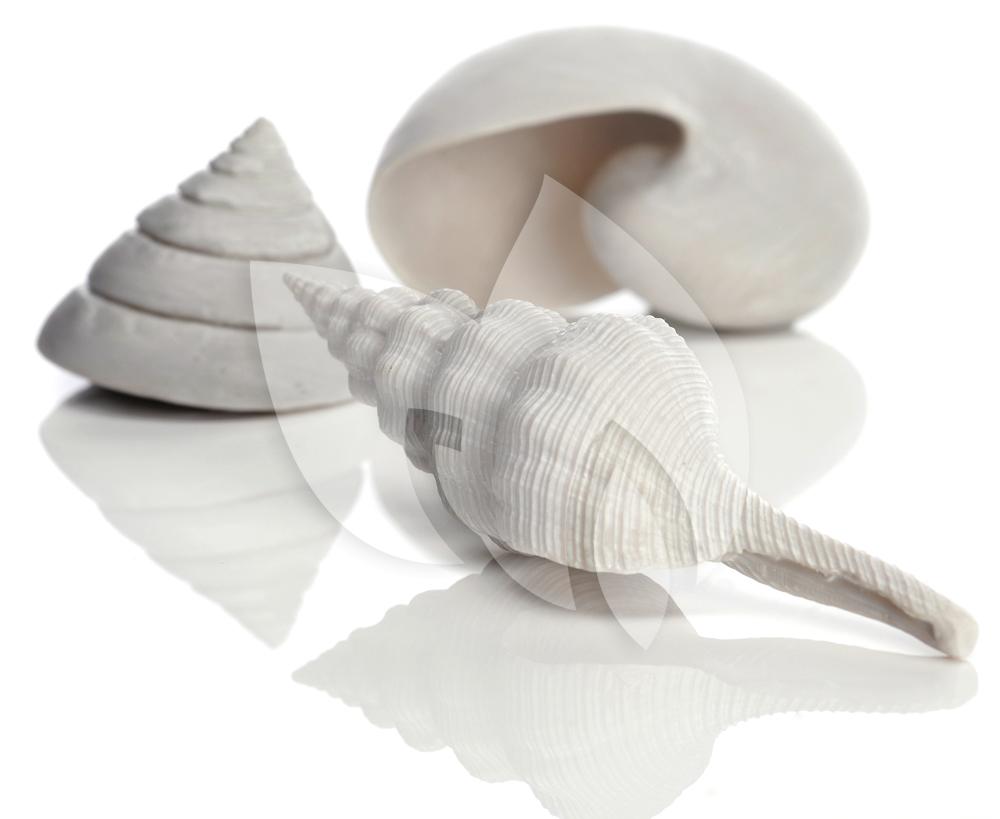 BiOrb schelp set 3 wit aquarium decoratie | Tuinexpress.nl