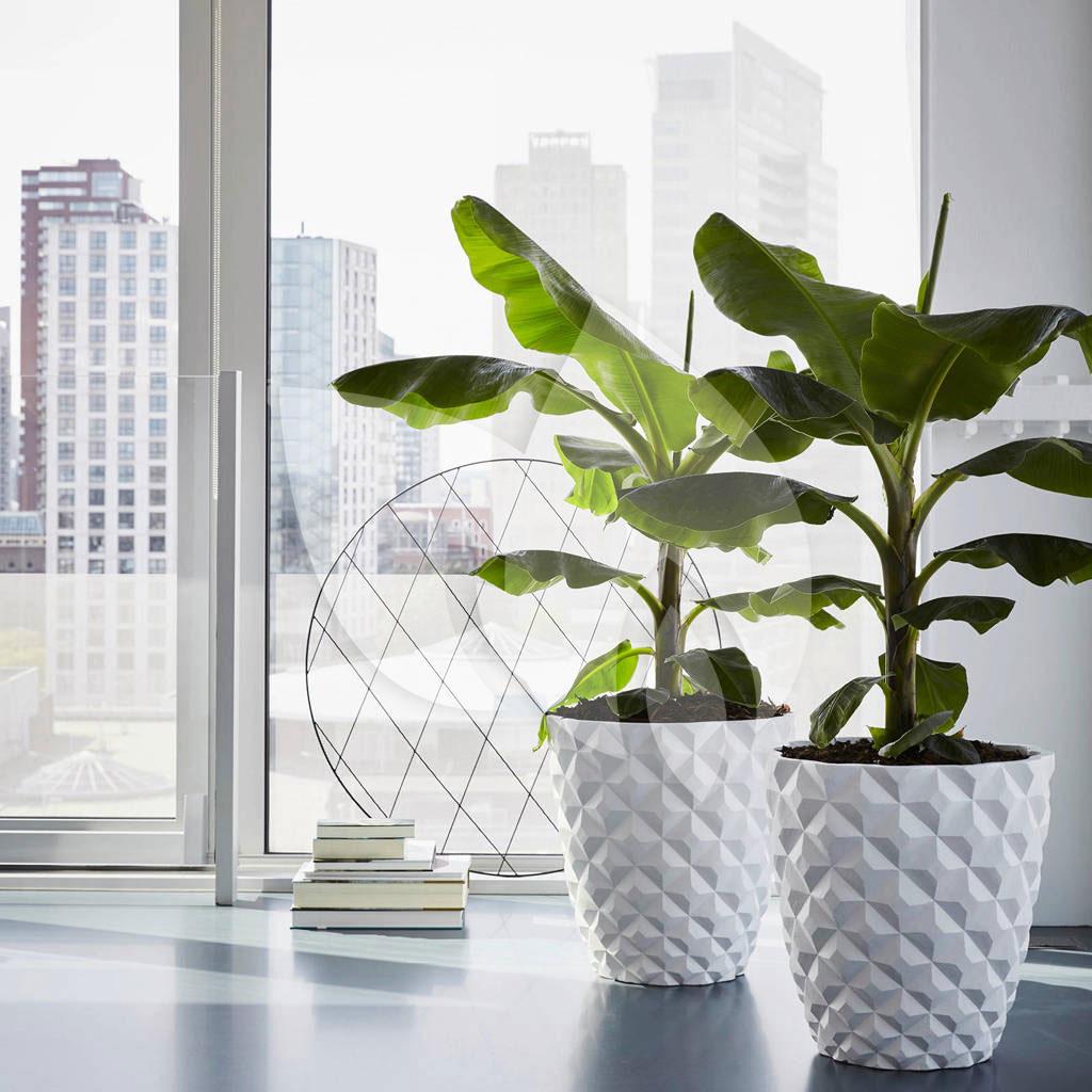 Capi europe Capi Lux Heraldry wit 38x38x40cm bloempot | Tuinexpress.nl