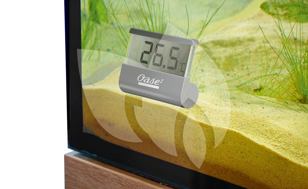 Oase - Indoor Aquatics Digitale thermometer aquarium | Tuinexpress.nl