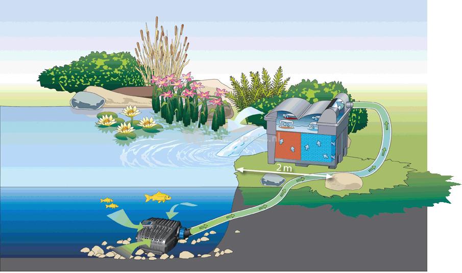 Oase BioSmart Set 5000 doorstroomfilter | Tuinexpress.nl