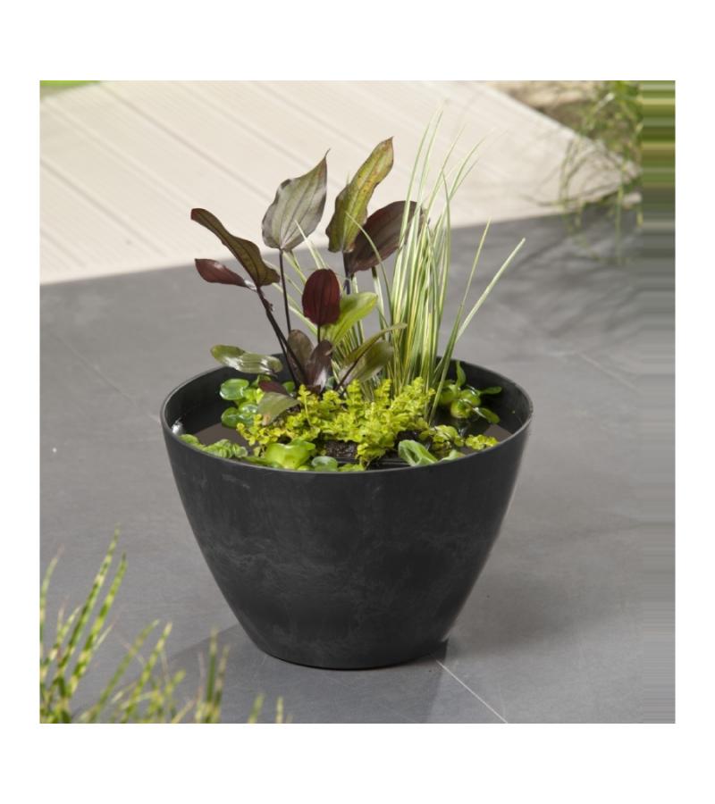 Mini vijver zwart rond compleet | Tuinexpress