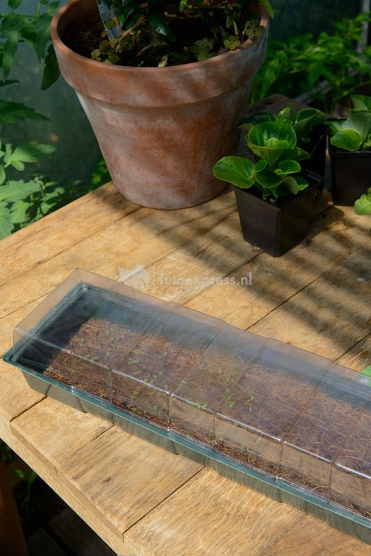 Nature Kweekkas mini met kokosmat - 49 x 15,5 cm | Tuinexpress.nl