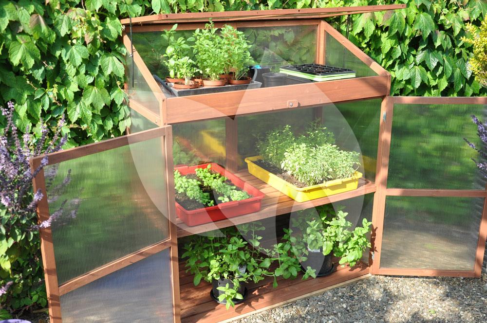 Royal Well Sweet Basil kweekkas | Tuinexpress.nl