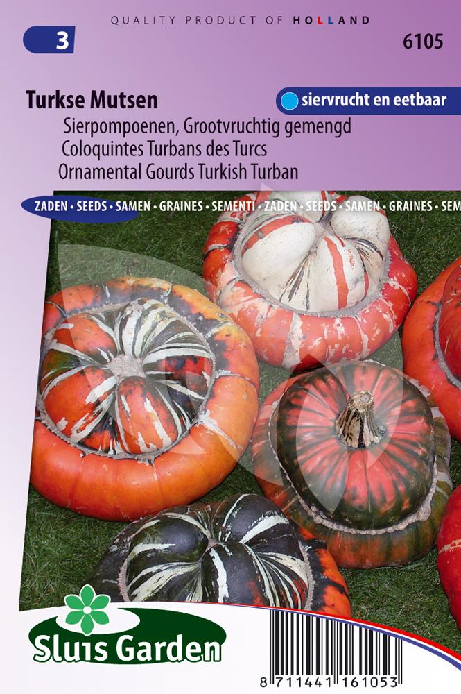 Sluis Garden Grootvruchtige gemengde sierpompoenen bloemzaden – Turkse ...