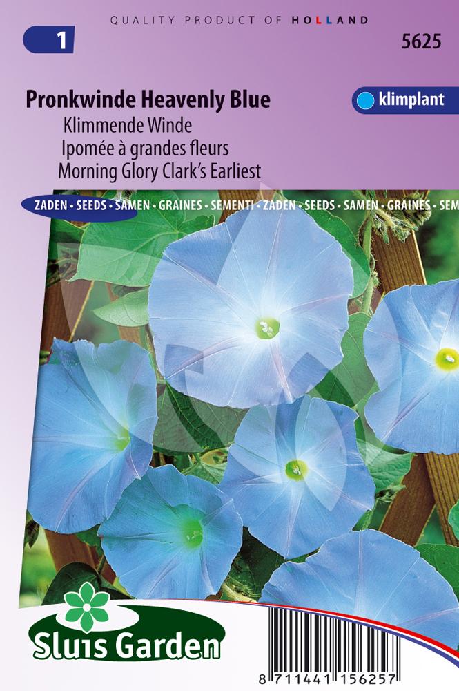 Sluis Garden Klimmende Winde bloemzaden - Pronkwinde Heavenly Blue ...