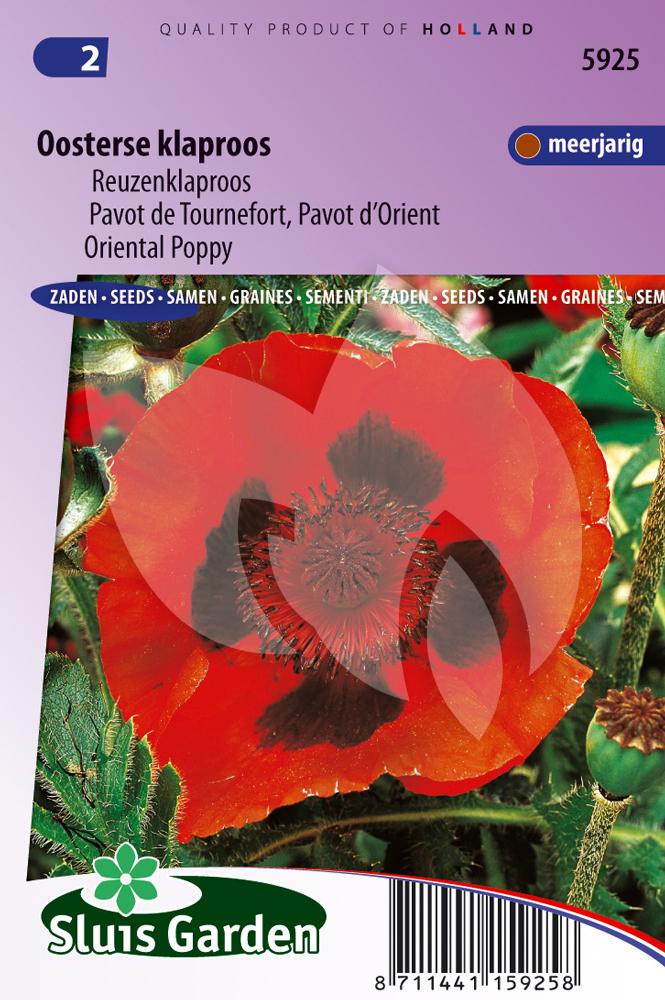 Sluis Garden Reuzenklaproos bloemzaden – Oosterse klaproos | Tuinexpress.nl