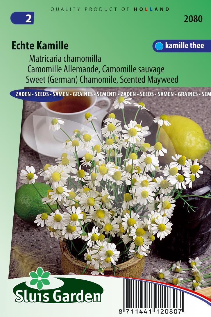 Sluis Garden Kamille zaden - Matricaria chamomilla | Tuinexpress.nl