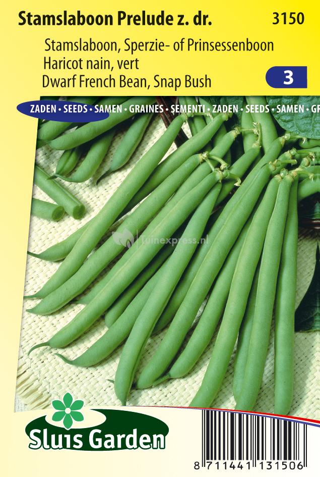 Sluis Garden Stamslaboon (sperzieboon) zaden - Prelude zonder draad ...