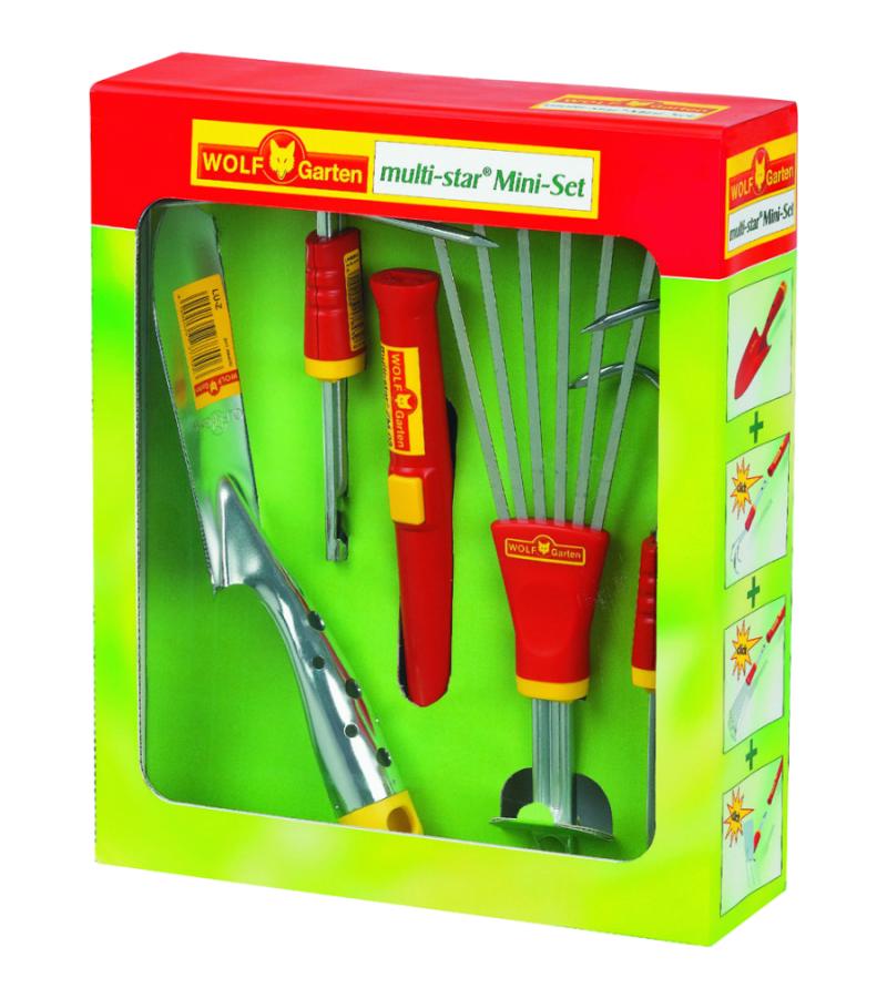 Multi-star mini set | Tuinexpress